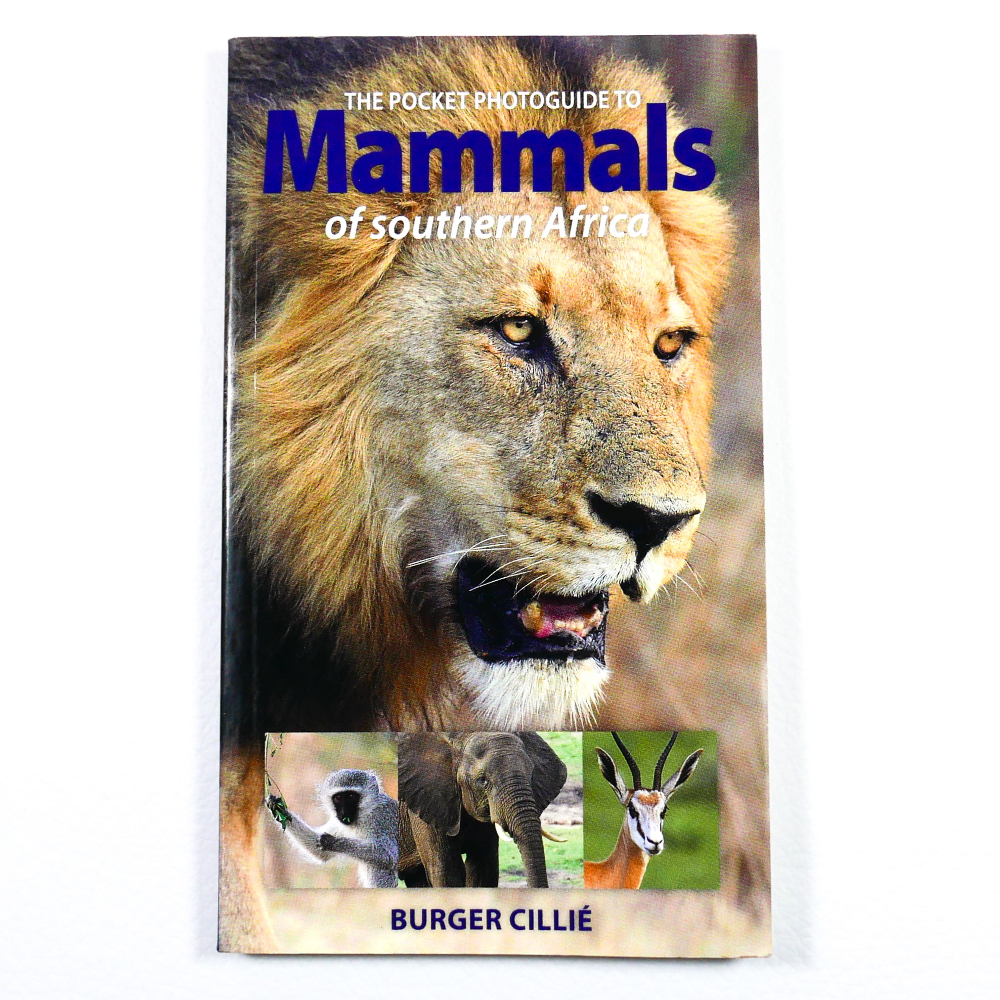 The pocket Photoguide to Mammals of Southern Africa by Burger Cillié ...