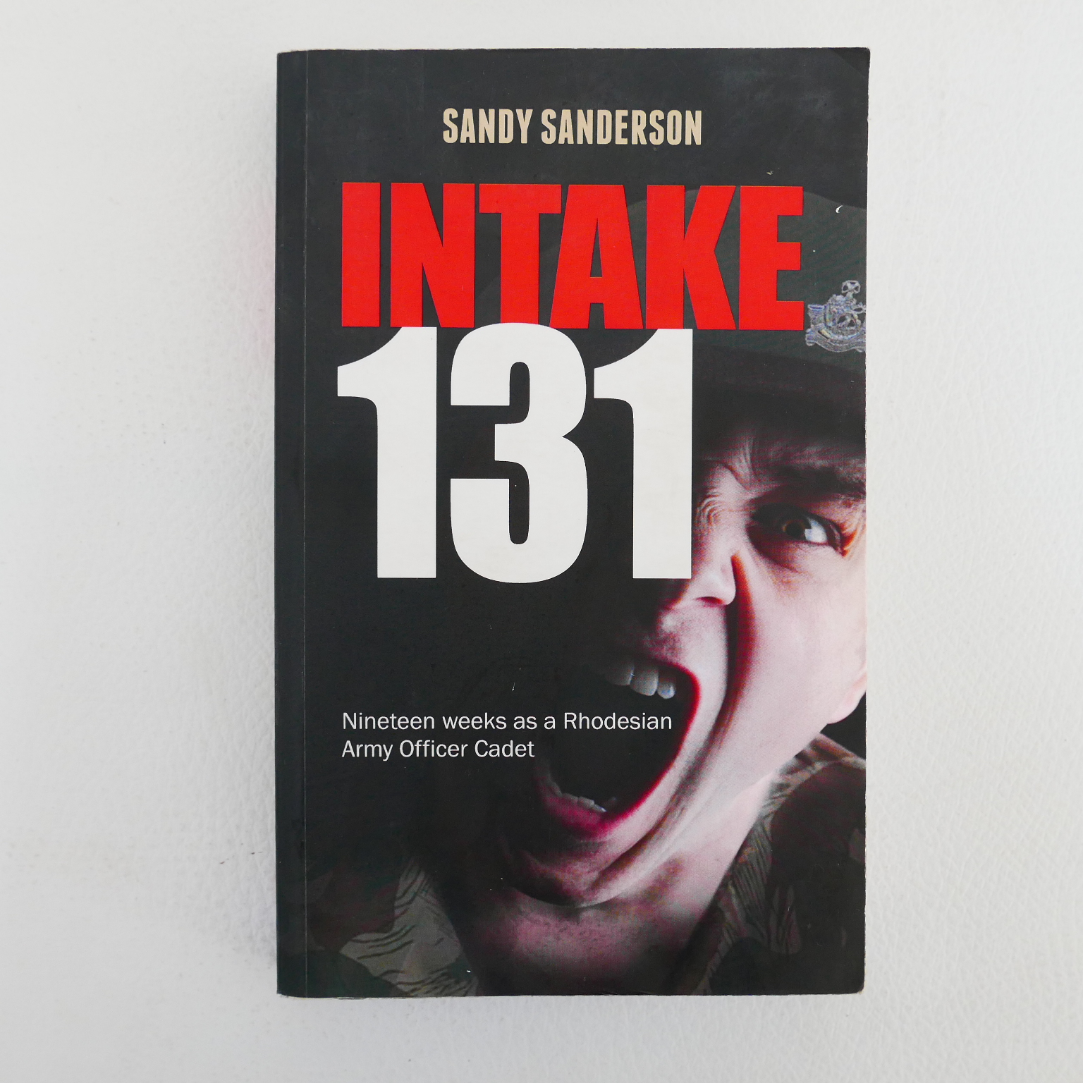 Intake 131 by Sandy Sanderson - The Crazy Book Inn