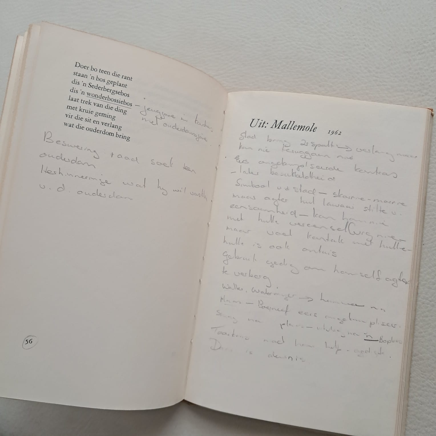 Boerneef: en Tafelberg Praat Krotaal - The Crazy Book Inn