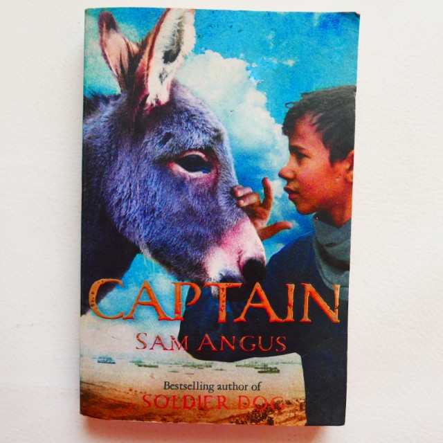Captain by Sam Angus - The Crazy Book Inn