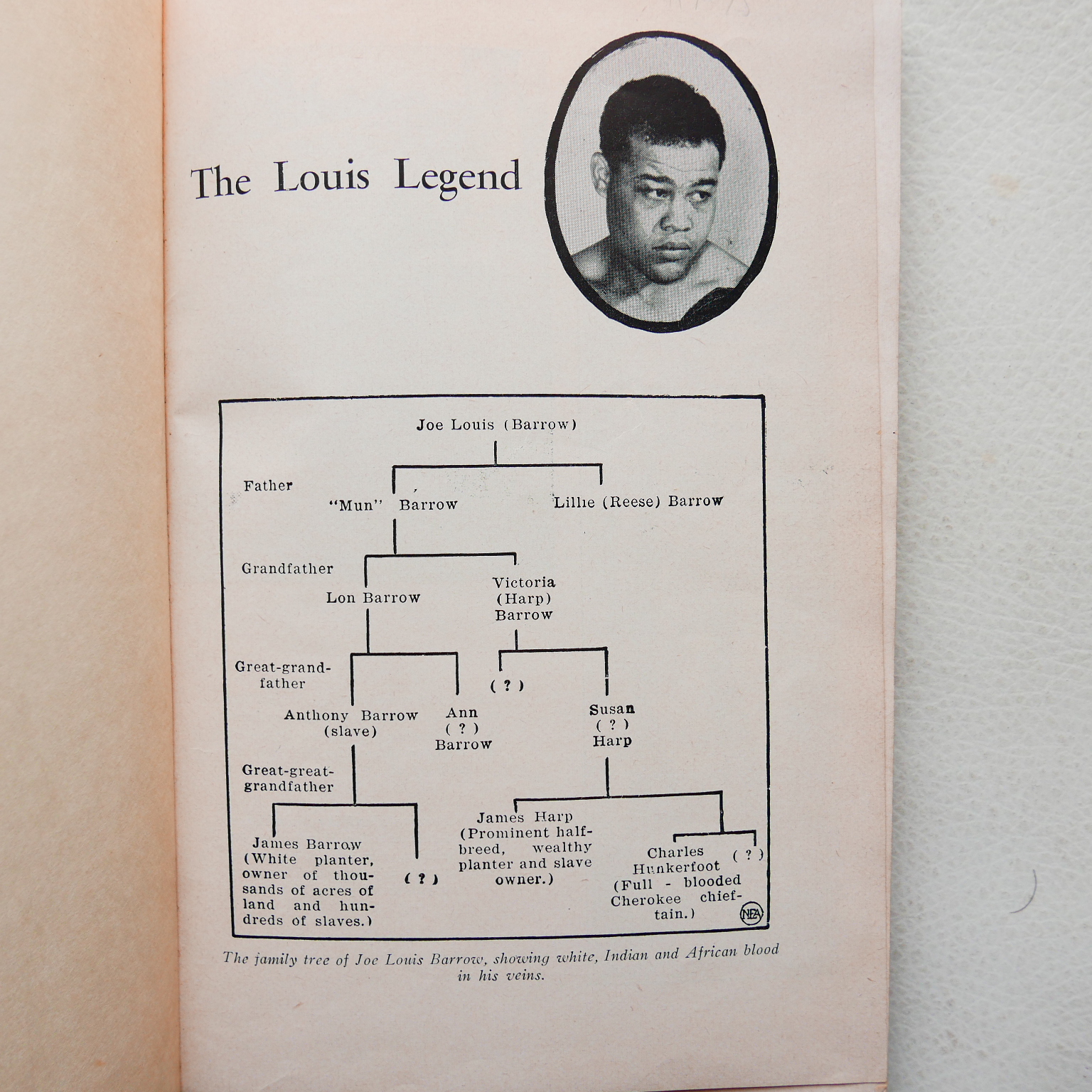 The Louis Legend by Nat - The Crazy Book Inn