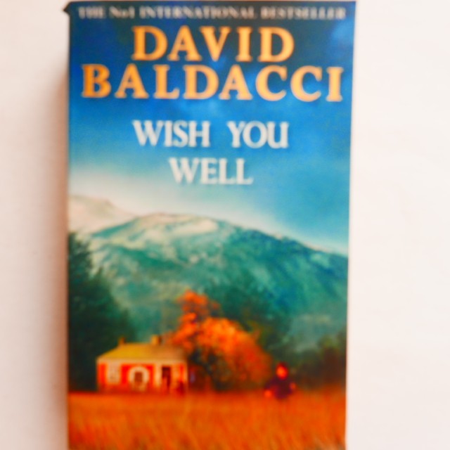 Whish you Well by David Baldacci - The Crazy Book Inn